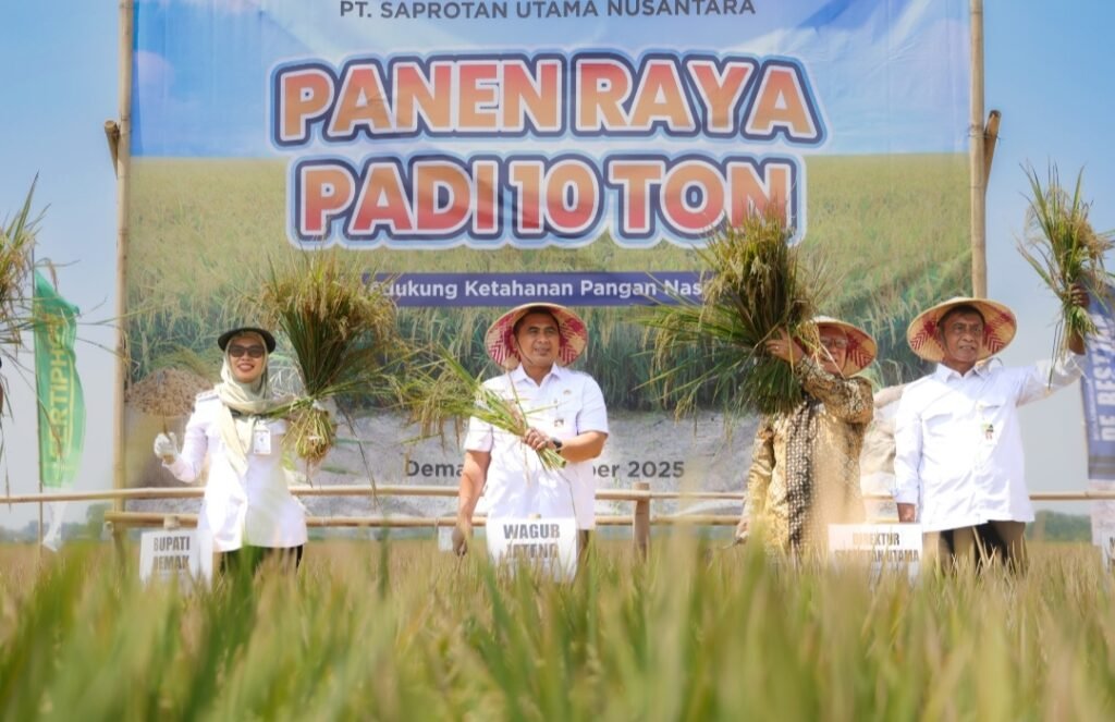 Petani Demak Panen Padi Lebih dari 10 Ton per Hektare, Wagub: Butuh Strategi dan Teknolog ...
